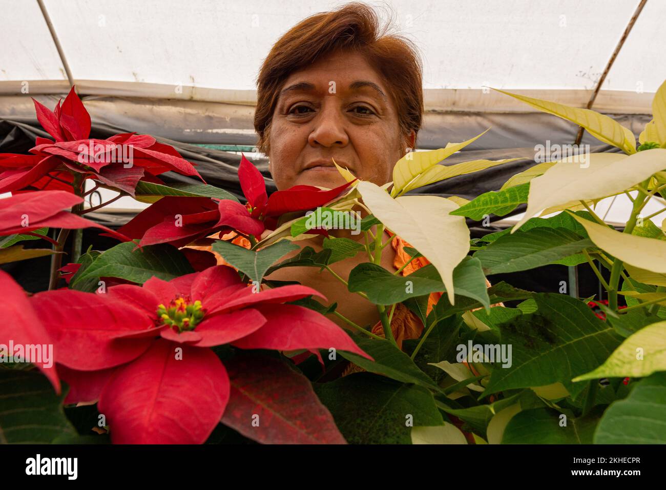 November 23, 2022 in Mexico City, Mexico: Mrs. Marta grows and sells ...