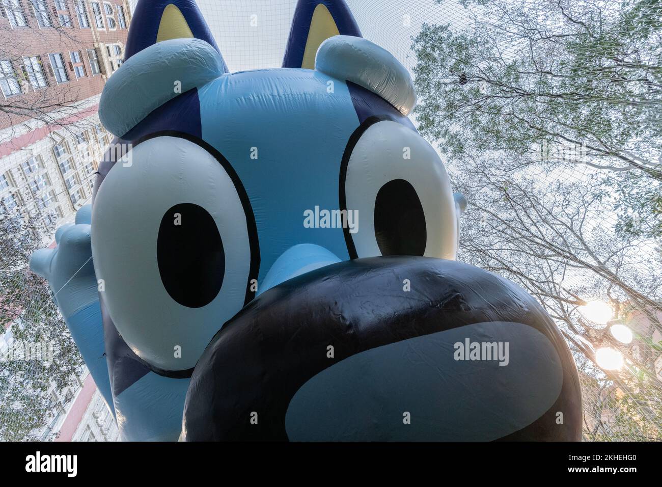 Bluey balloon hi-res stock photography and images - Alamy