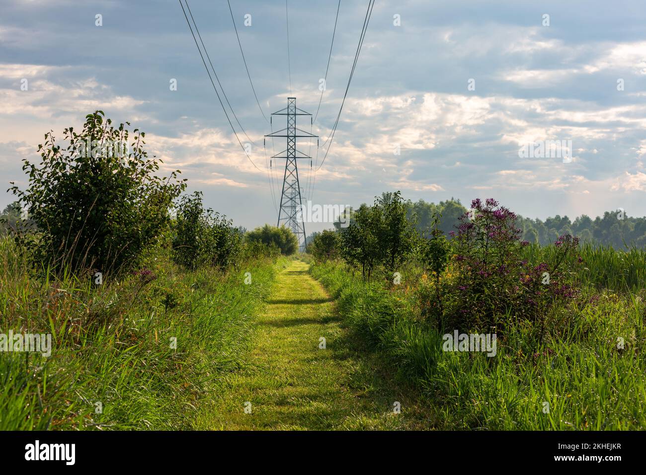 A transmission tower, or pylon, carries high-voltage electricity power ...