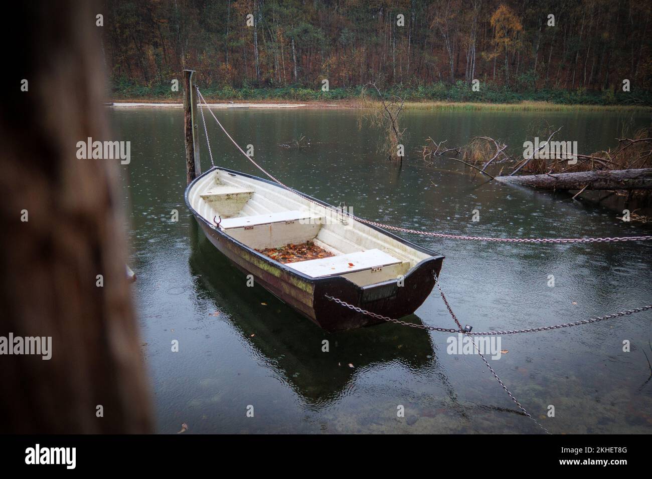 rowboat is lying in the rain on the lake Stock Photo - Alamy