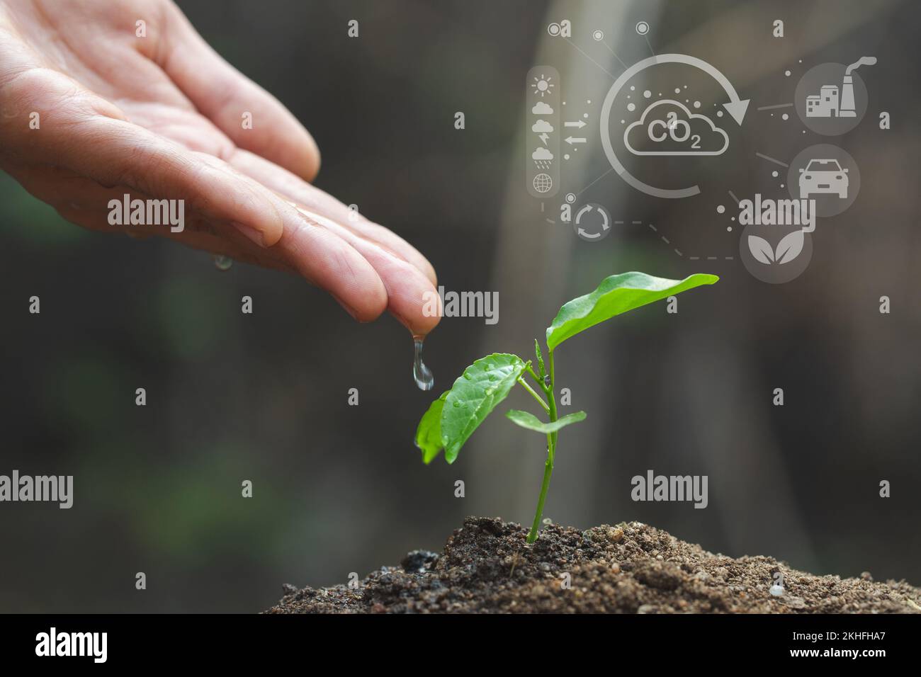 Technology environment, Hand planting trees with technology of ...