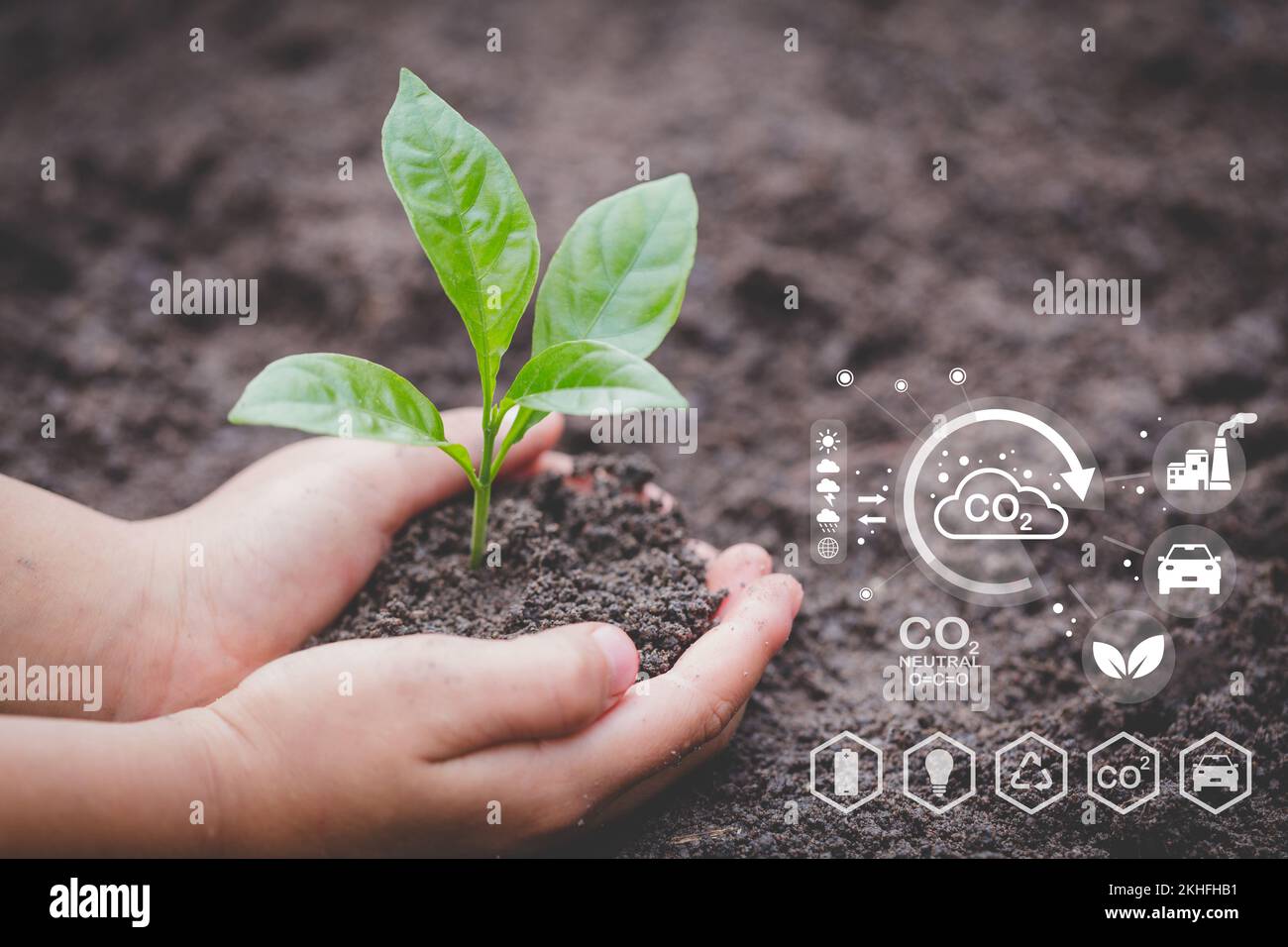 Technology environment, Hand planting trees with technology of ...