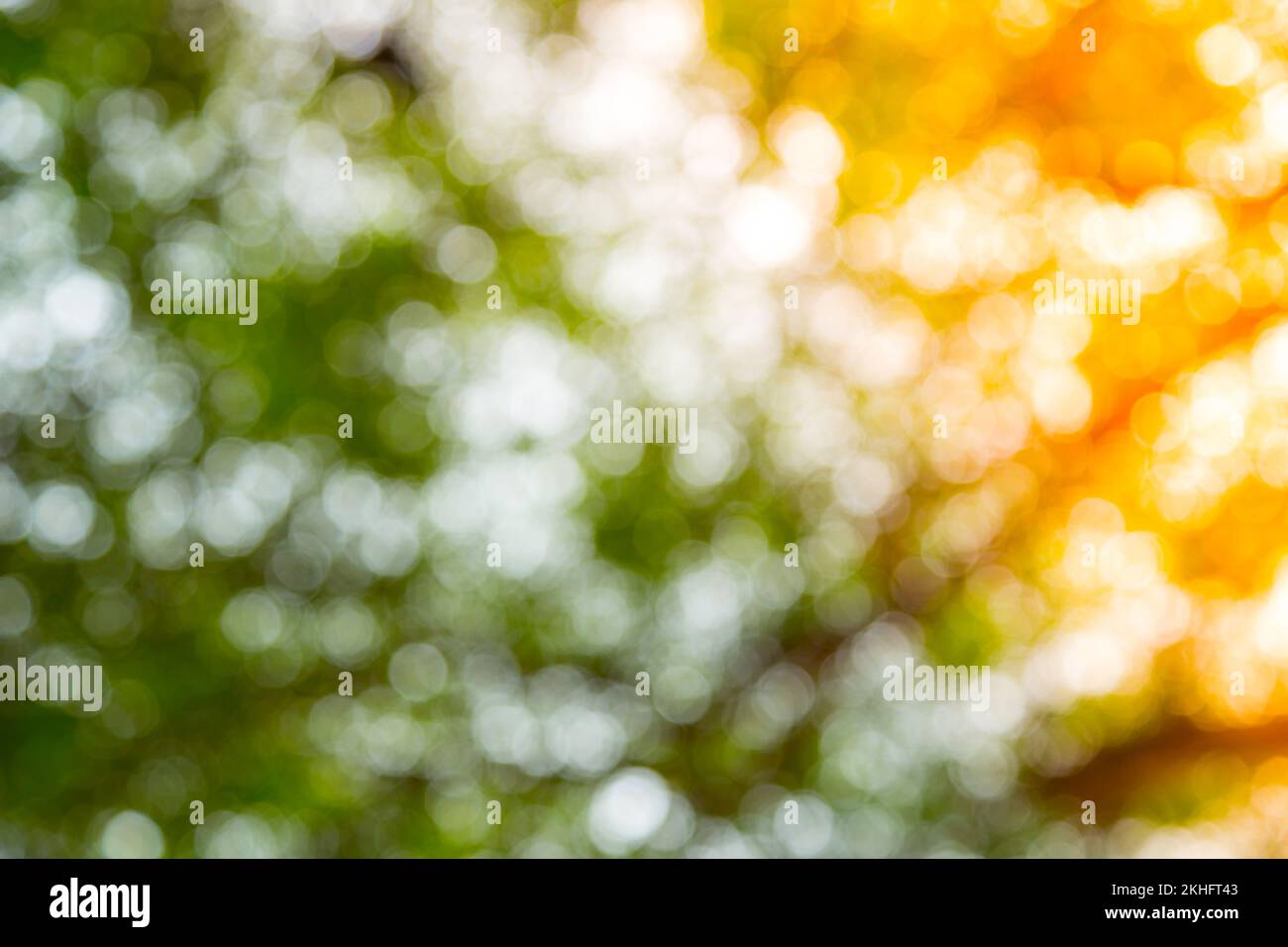 Green bokeh of tree nature background Stock Photo - Alamy