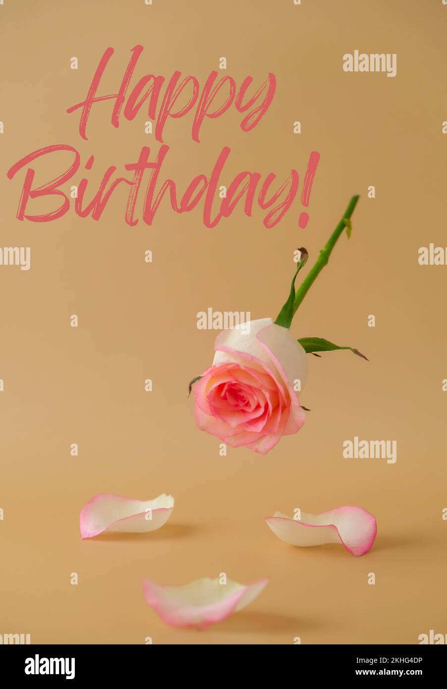 HAPPY BIRTHDAY text Flying Delicate pink rose on beige background ...