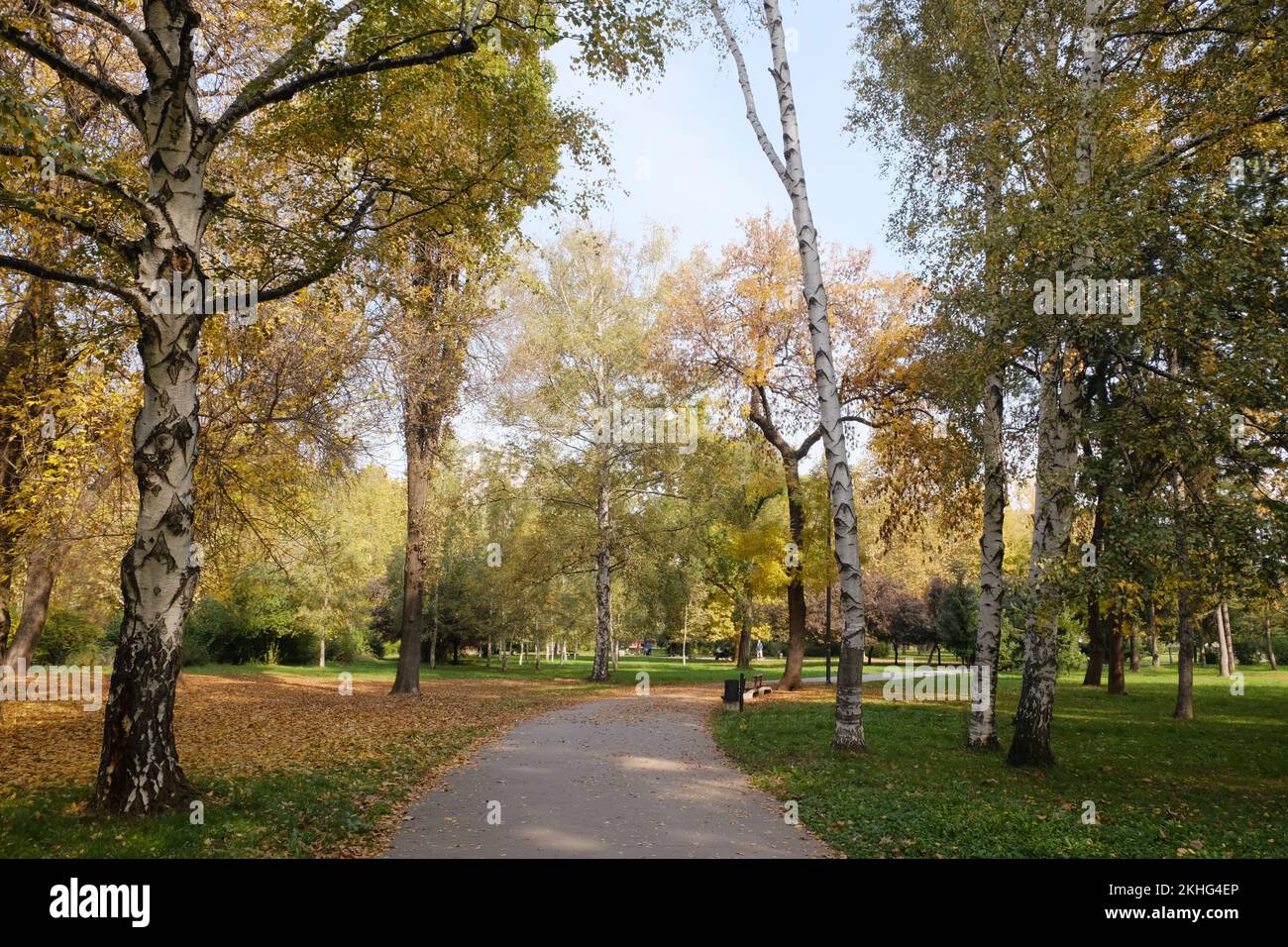 A view of a pathway splitting the grass fields with trees in a park at ...