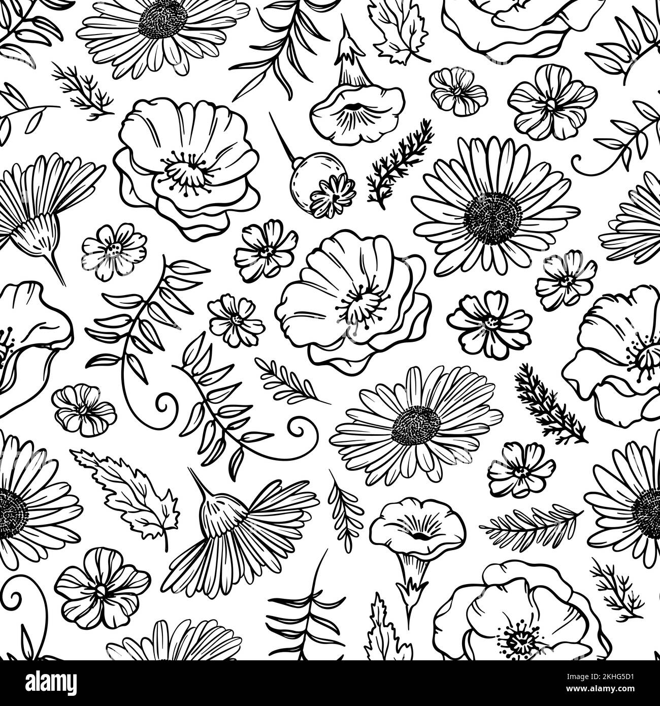 FLOWER SKETCH Monochrome Chamomile Poppy With Grass And Bud On White ...