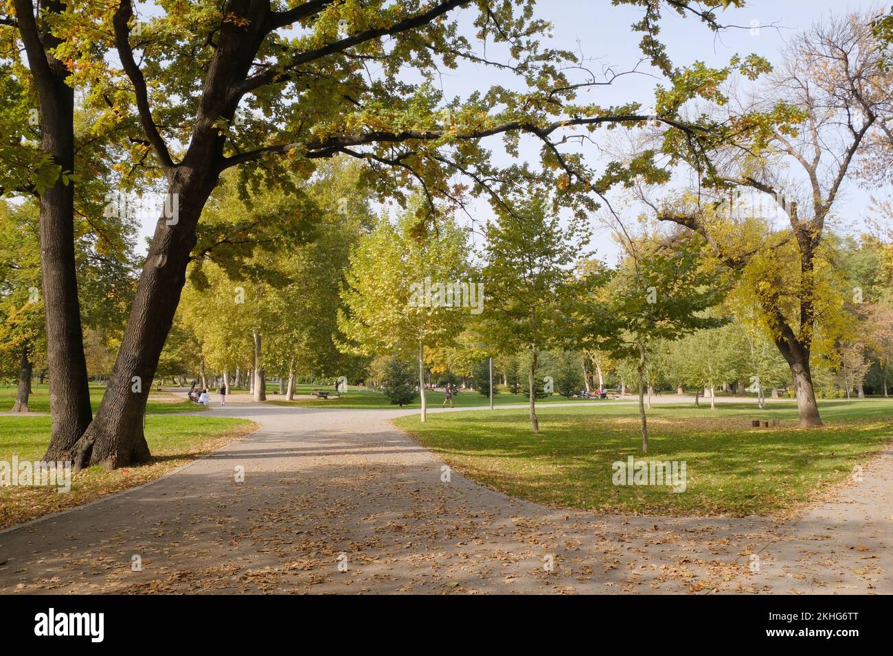 Different walkways hi-res stock photography and images - Alamy