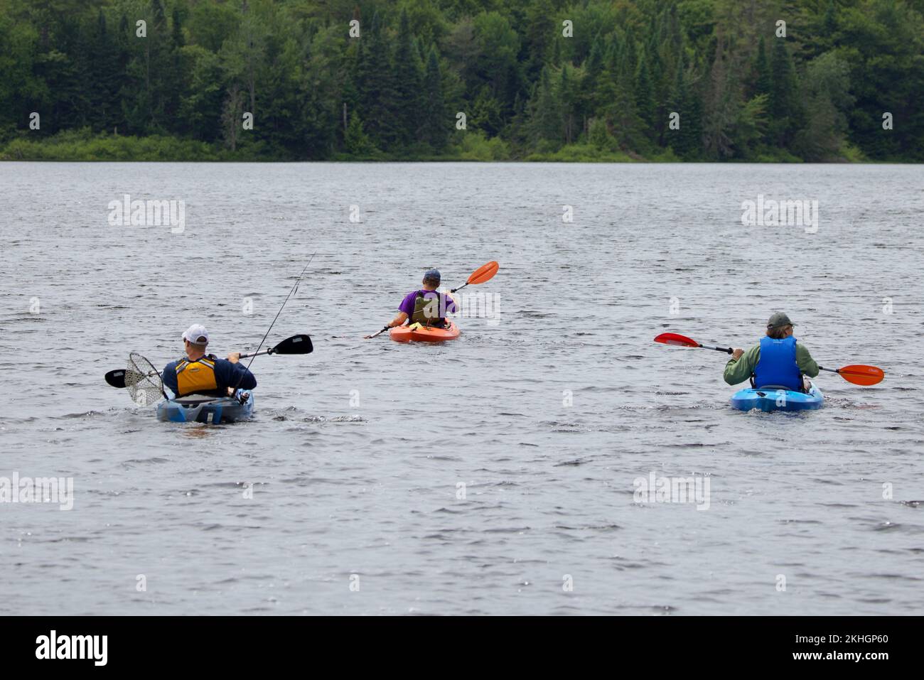 An aerial view of people floating on lake surrounded by trees Stock ...