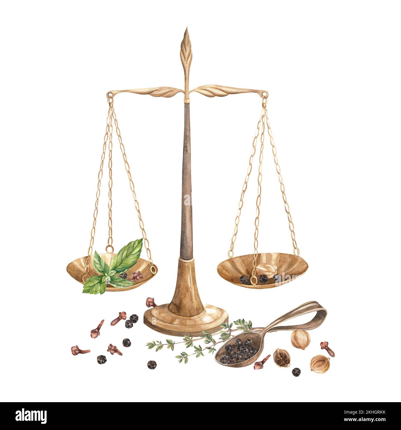 Scale and spices. Watercolor. Set. Illustration for clipart. Designed ...