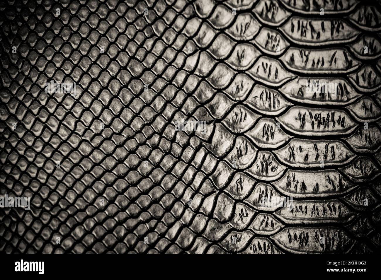 Black snake skin pattern texture background Stock Photo - Alamy