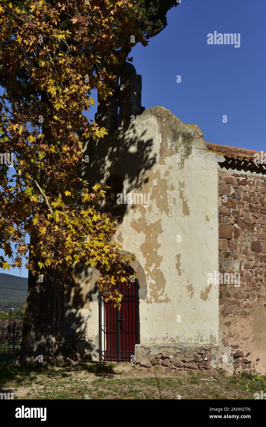 St Jean chapel and its plane tree in autumn colors in Cuers in the Var ...