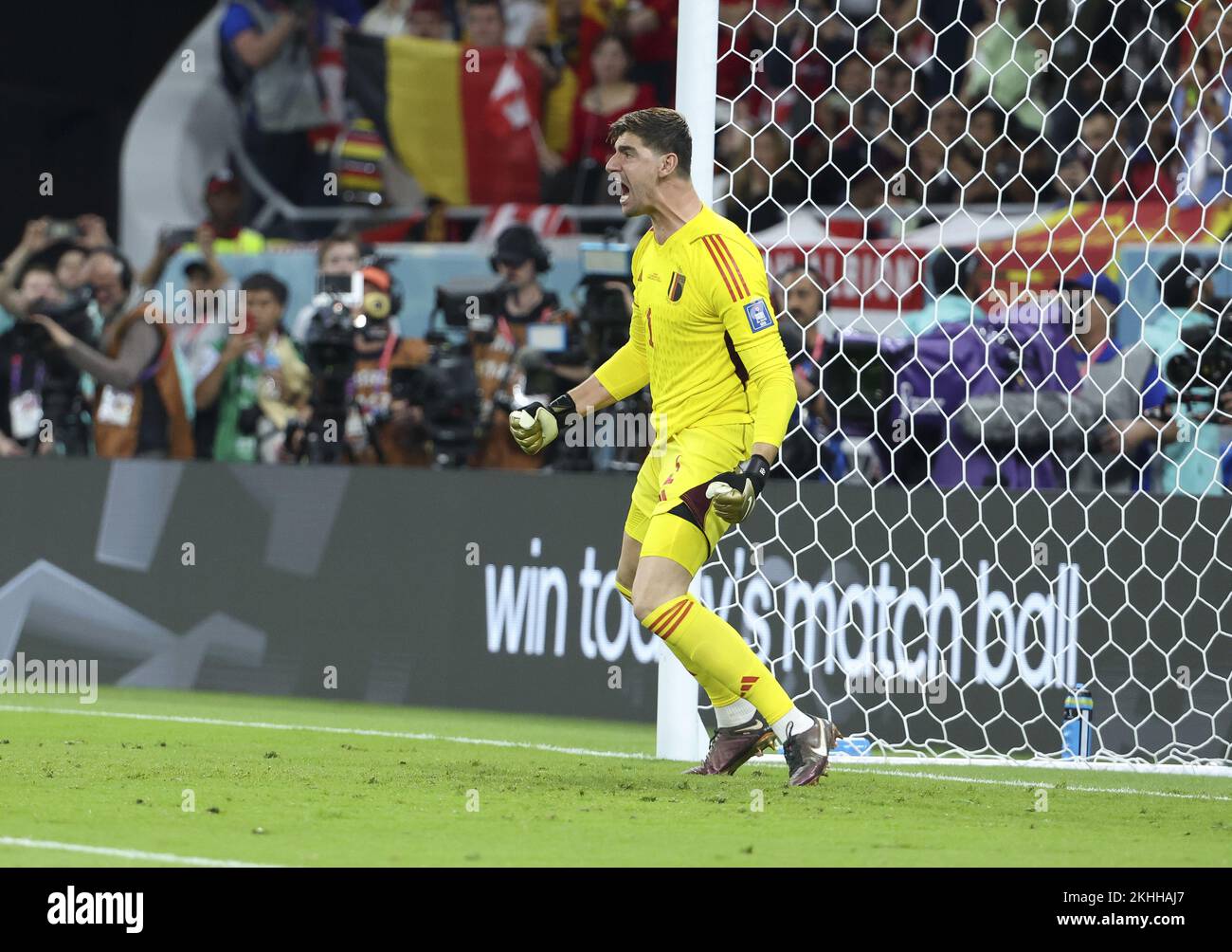 Belgium goalkeeper Thibaut Courtois celebrates after blocking Alphonso ...