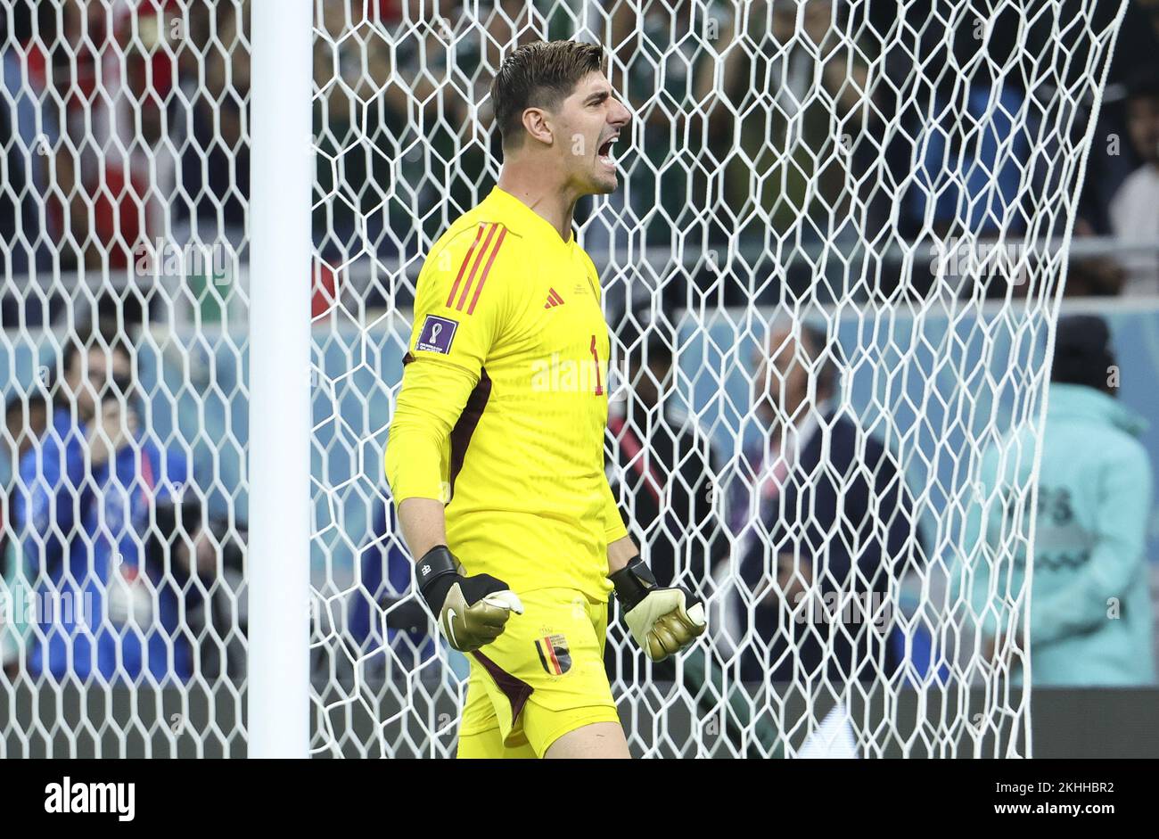 Belgium goalkeeper Thibaut Courtois celebrates after blocking Alphonso ...