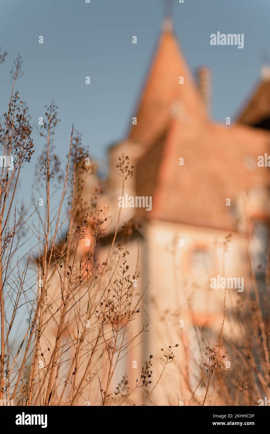 A church building behind growing grass Stock Photo - Alamy