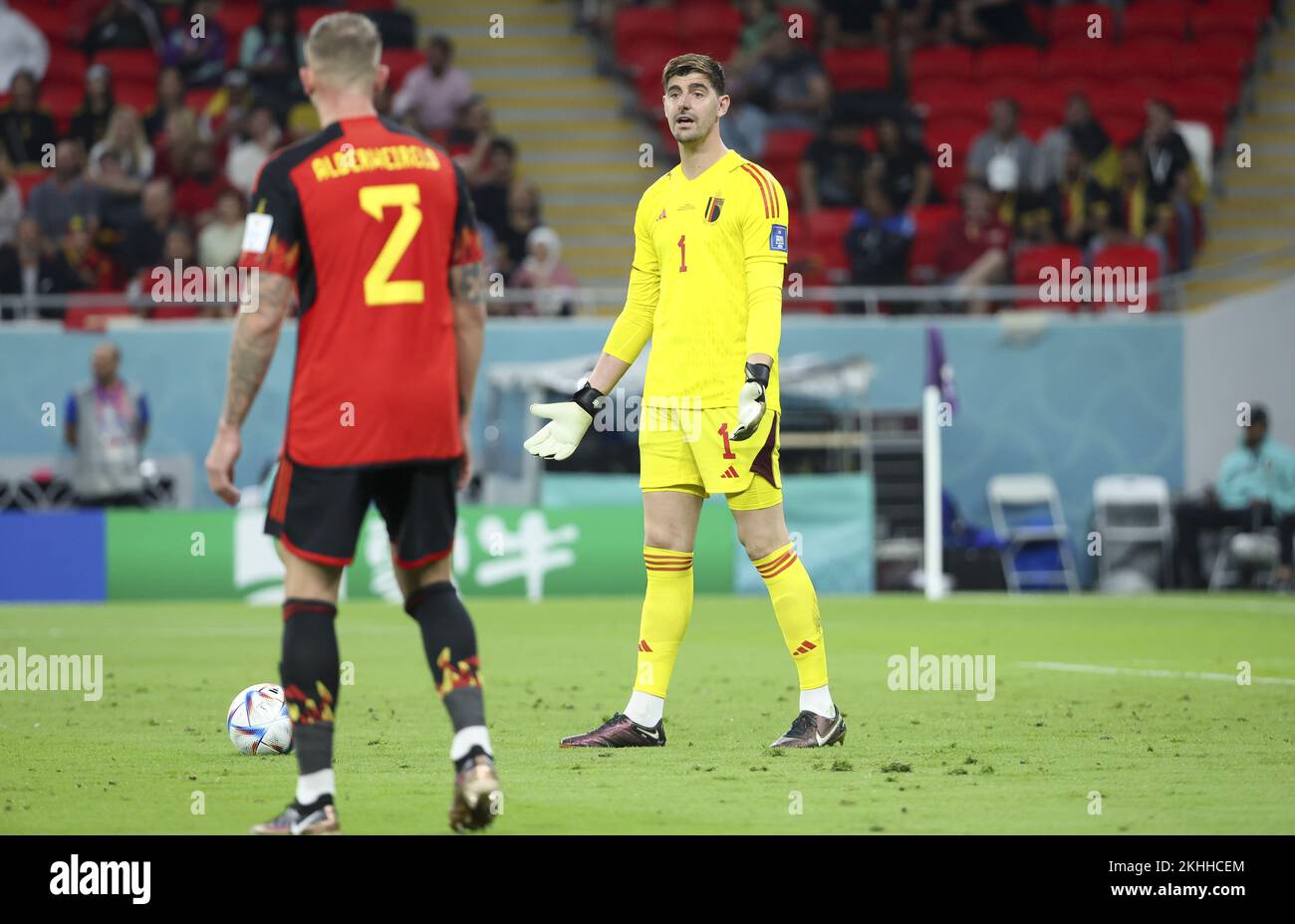 Belgium goalkeeper Thibaut Courtois during the FIFA World Cup 2022 ...