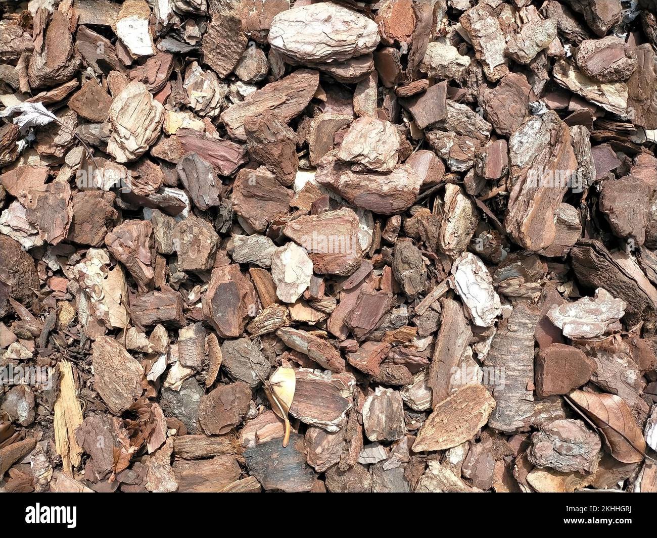 A top view of tree trunk debris on a stack Stock Photo - Alamy