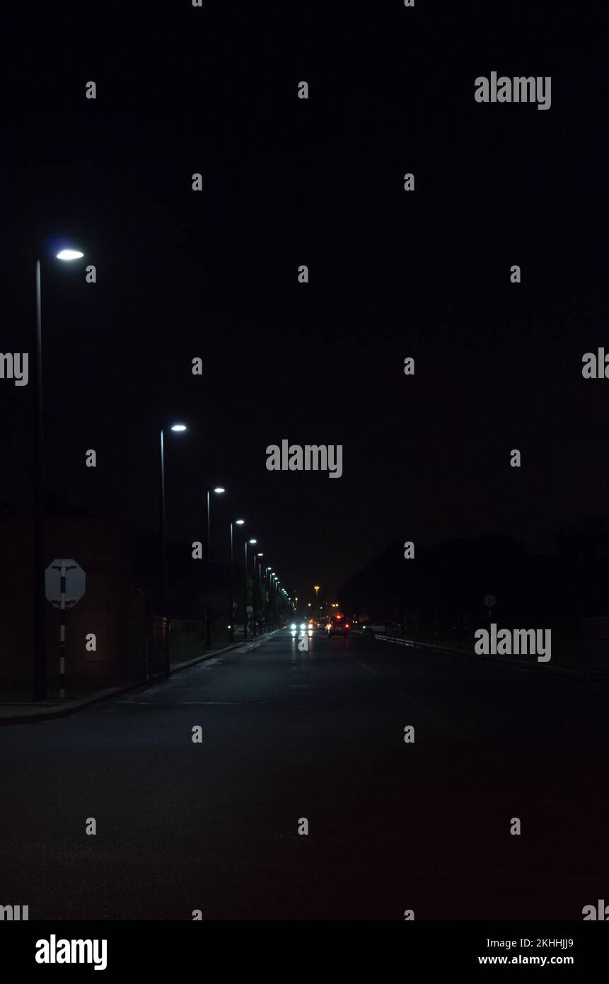 A vertical shot of lanterns and traffic lights illuminating an asphalt ...