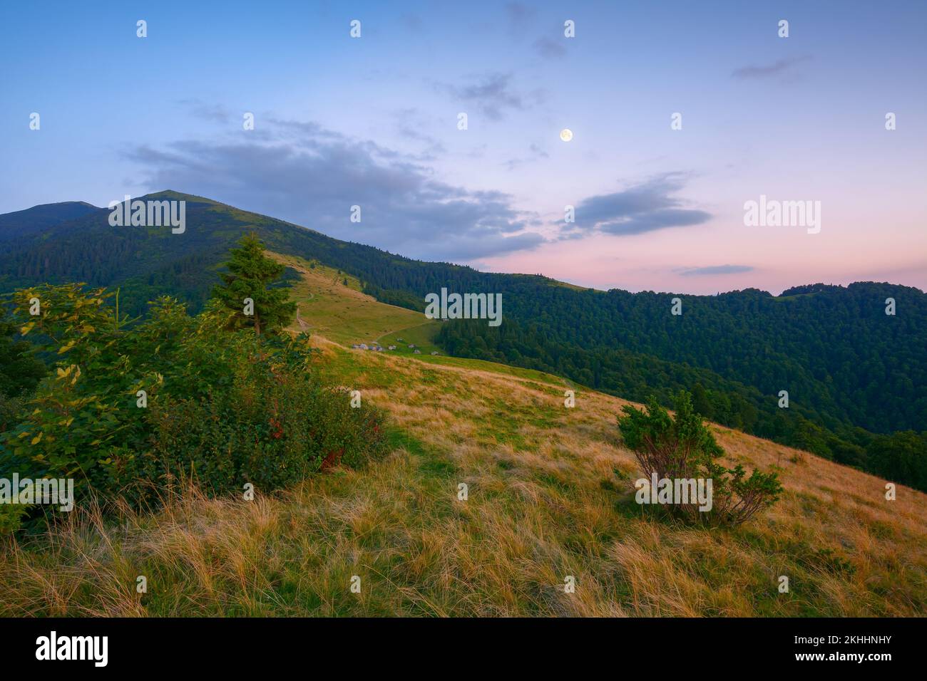 mountain landscape at twilight. carpathian countryside nature scenery ...