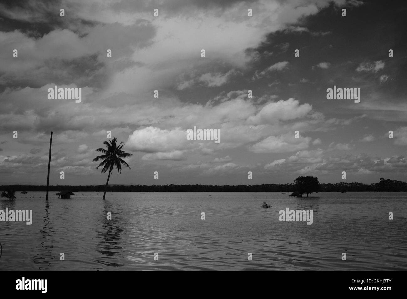 Flood floods farmland field fields Black and White Stock Photos ...