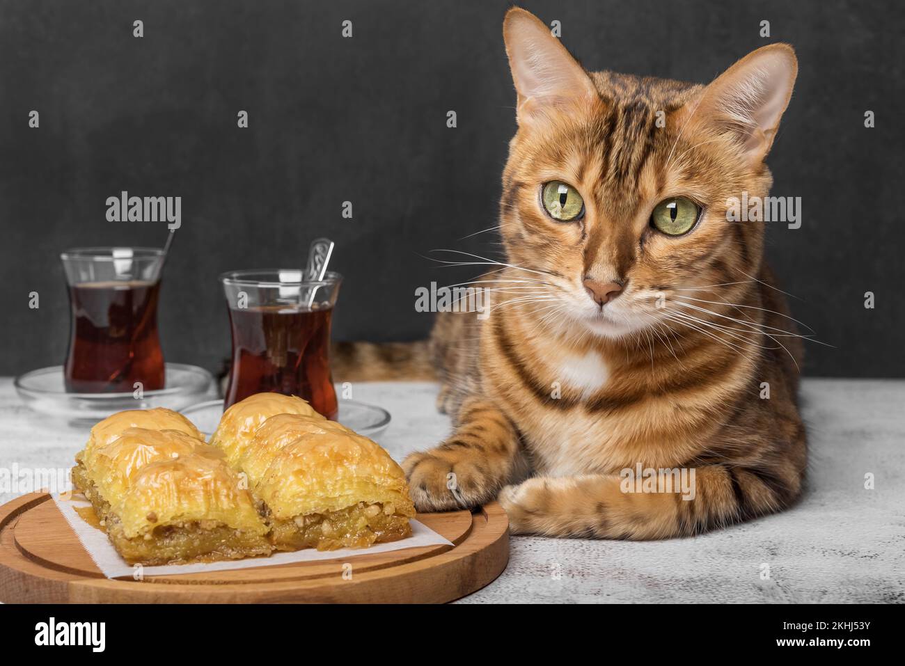 Traditions of Turkey - delicious baklava, Turkish tea and cat Stock ...