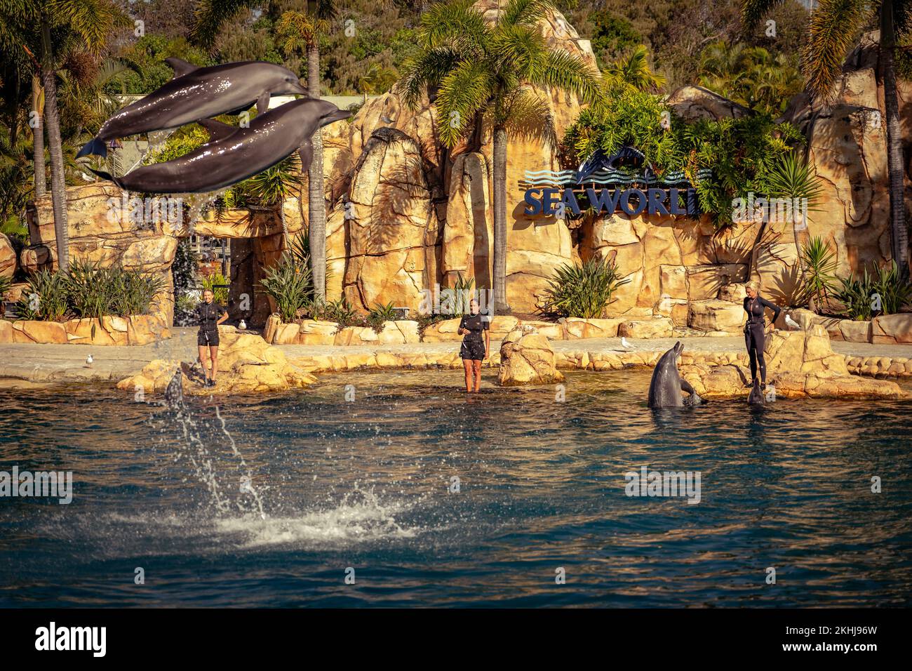 Gold Coast, Queensland, Australia - Dolphin show at Seaworld theme park ...