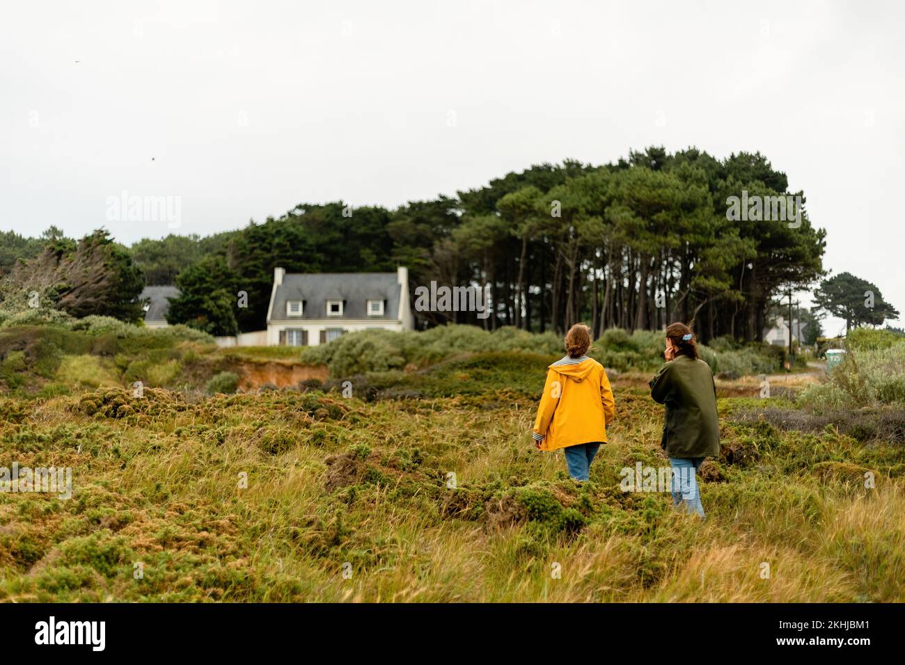 An aerial view of people walking in field surrounded by dense trees ...