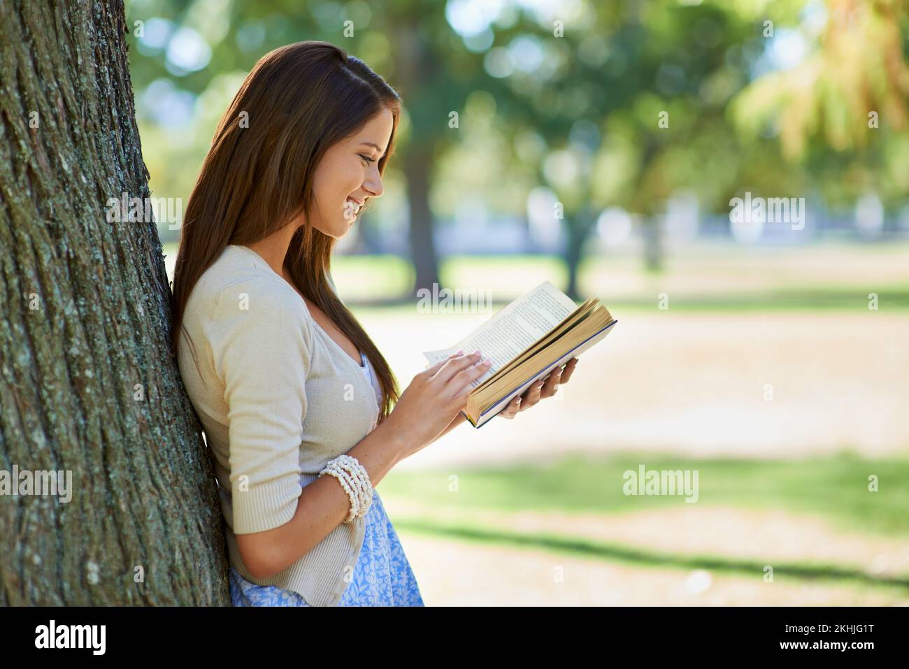 Beautiful woman reading favourite book hi-res stock photography and ...