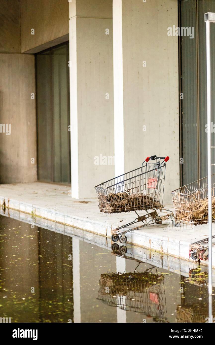 A view of shopping carts in front of building Stock Photo - Alamy