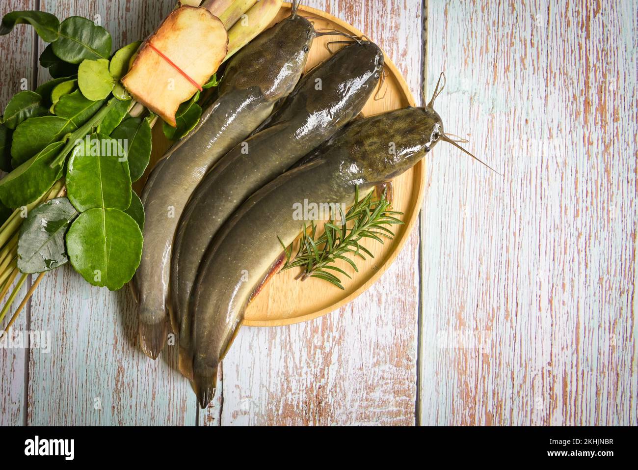 catfish on plate, fresh raw catfish freshwater fish, catfish for ...