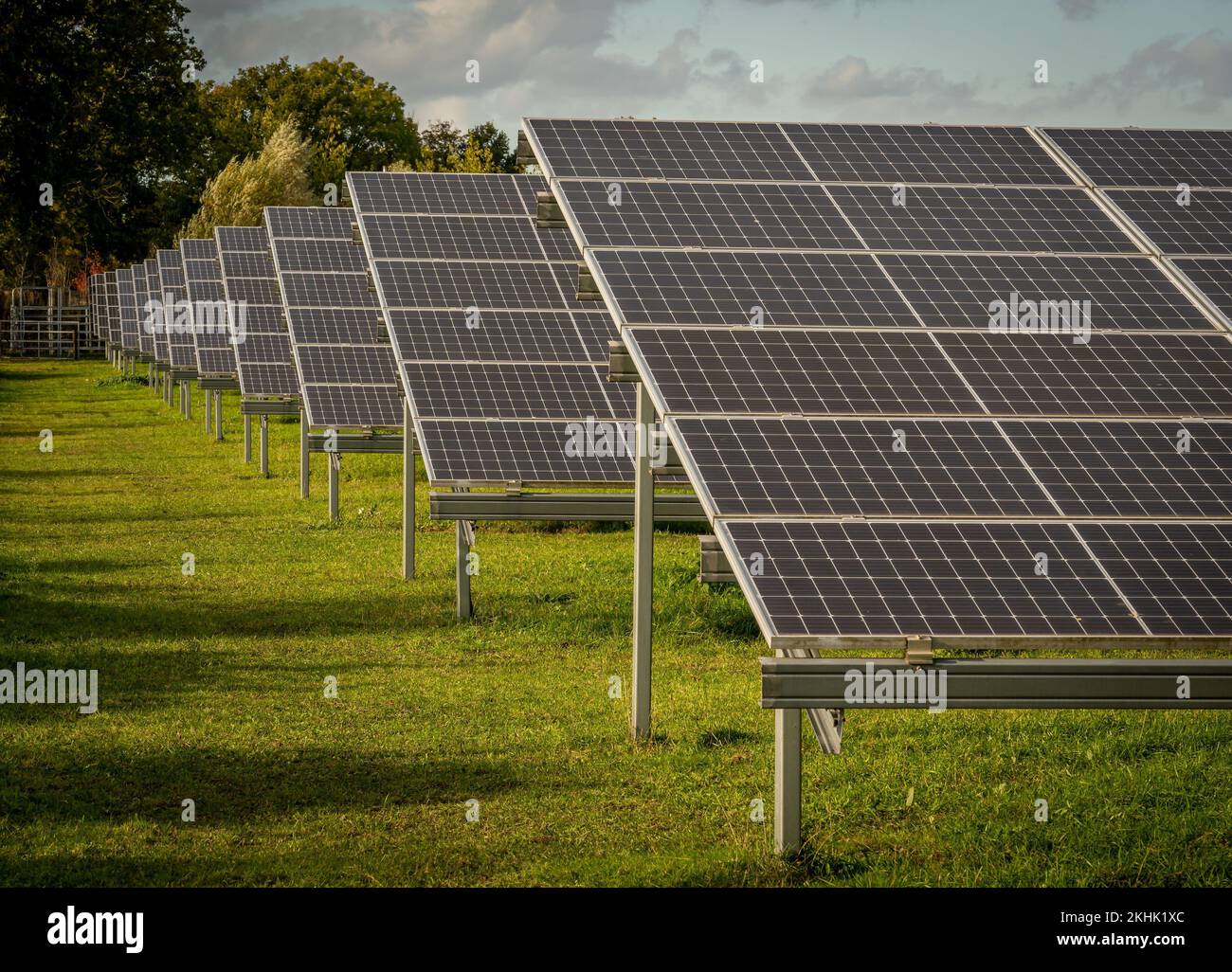 Photovoltaic cells in the field, solar panel park in The Netherlands ...