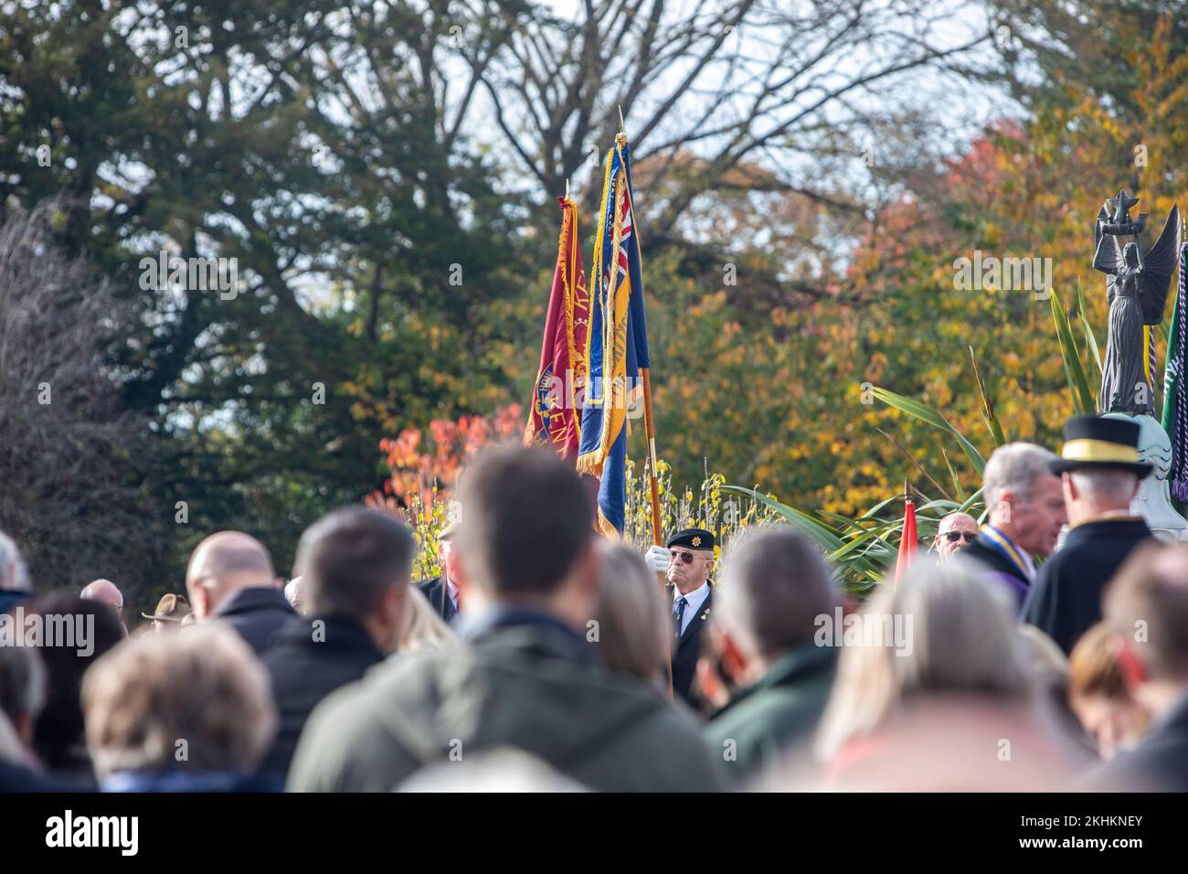 Memorial standards on Remembrance Sunday Stock Photo - Alamy