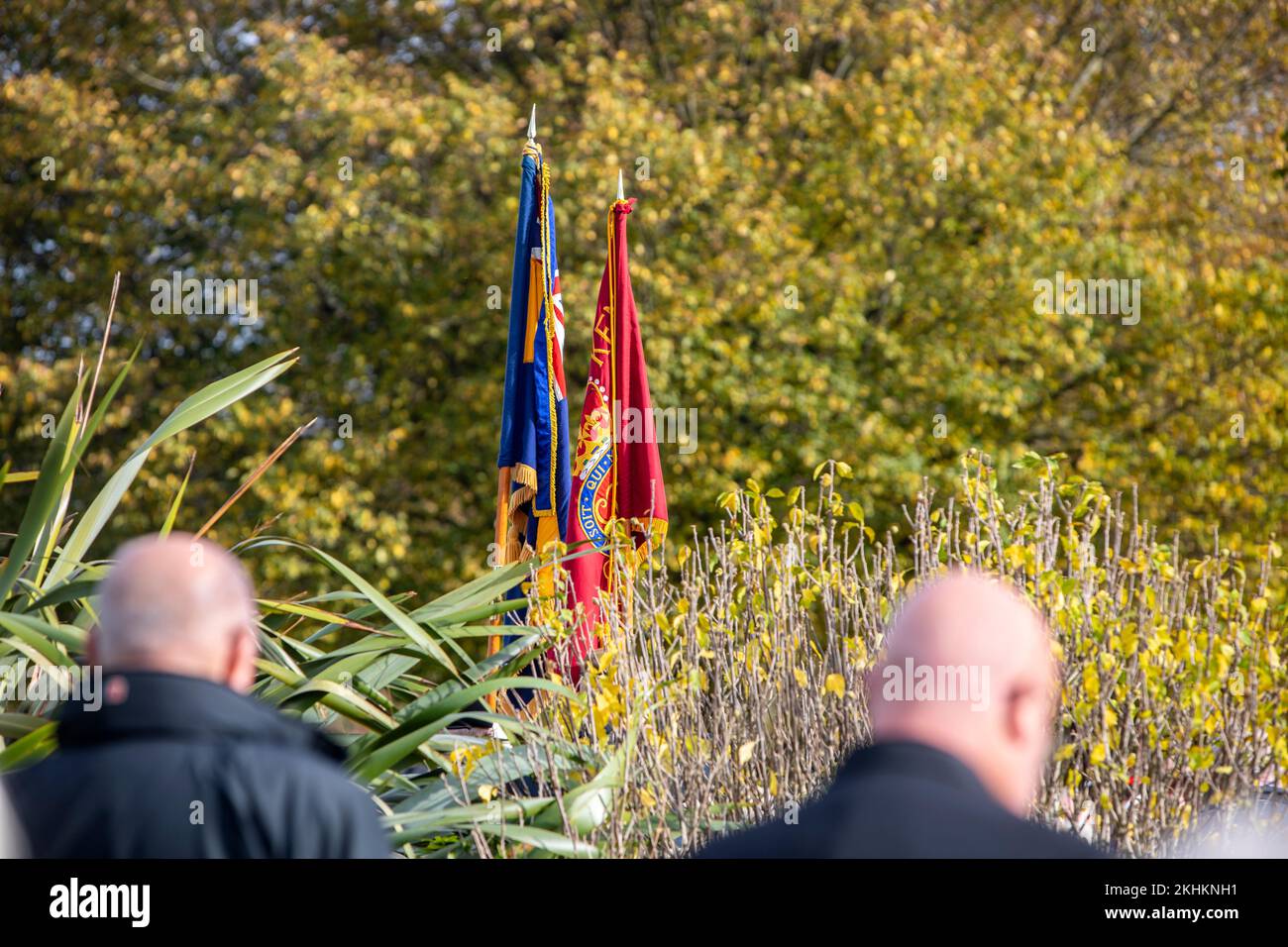 Memorial standards on Remembrance Sunday Stock Photo - Alamy