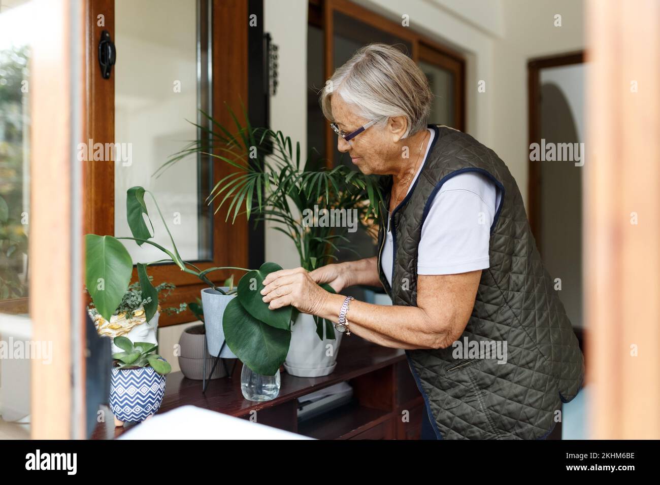 Senior woman taking care of home plant near window indoors. Creating ...