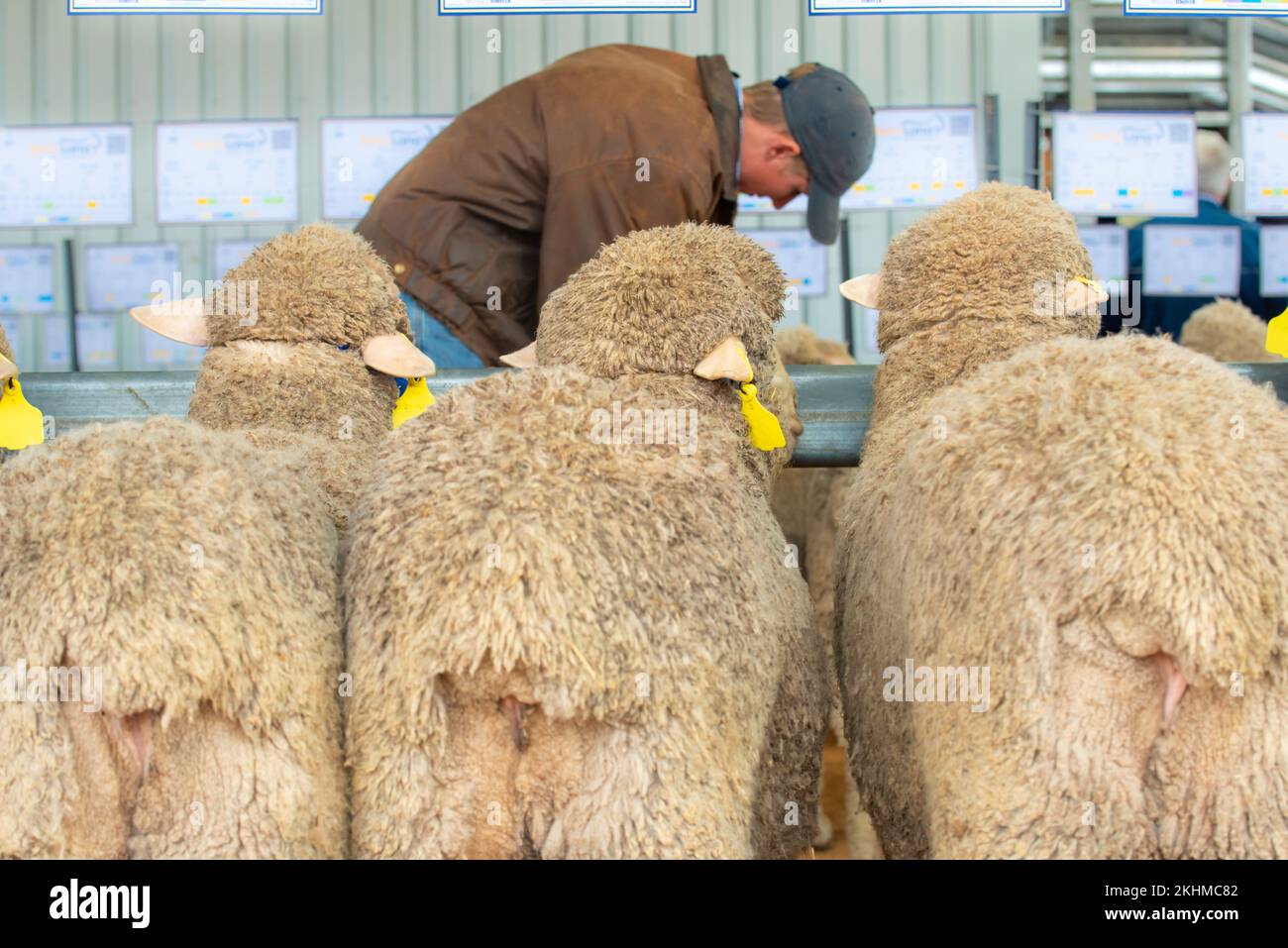 Bella marshall hi-res stock photography and images - Alamy