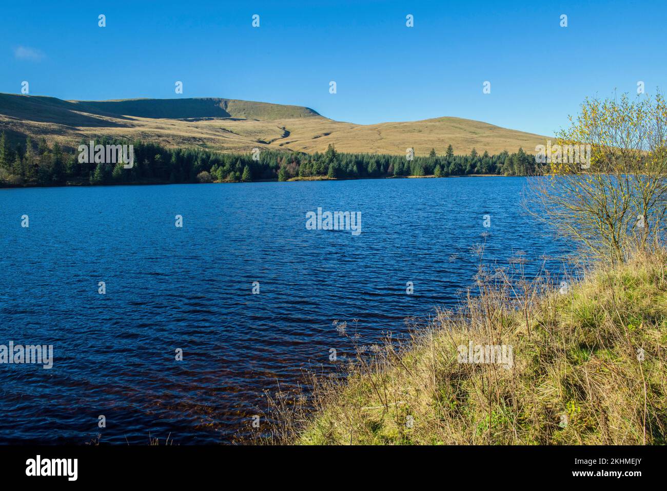Across Beacons Reservoir to Fan Fawr in the Fforest Fawr part of the ...