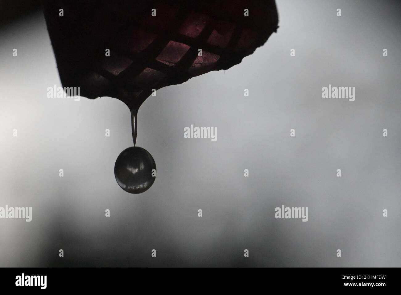 PRODUCTION - 22 November 2022, Hessen, Frankfurt/Main: Groundwater ...