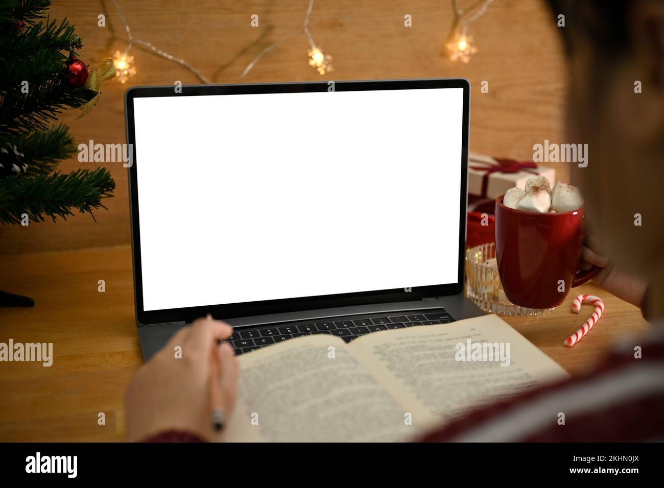 back view, A female college student doing homework, using a laptop ...