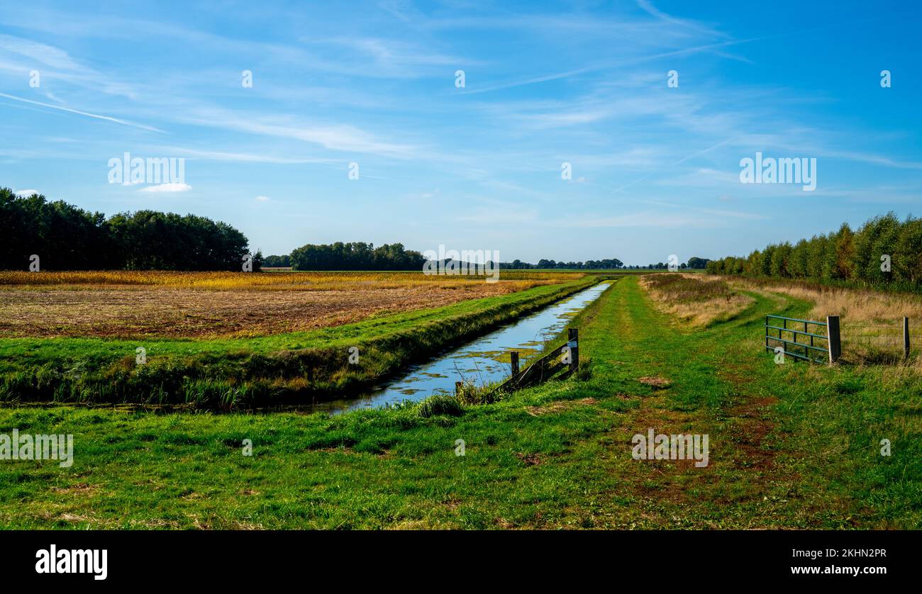 Landscape in a marshland in Bargerveen, Netherlands Stock Photo - Alamy