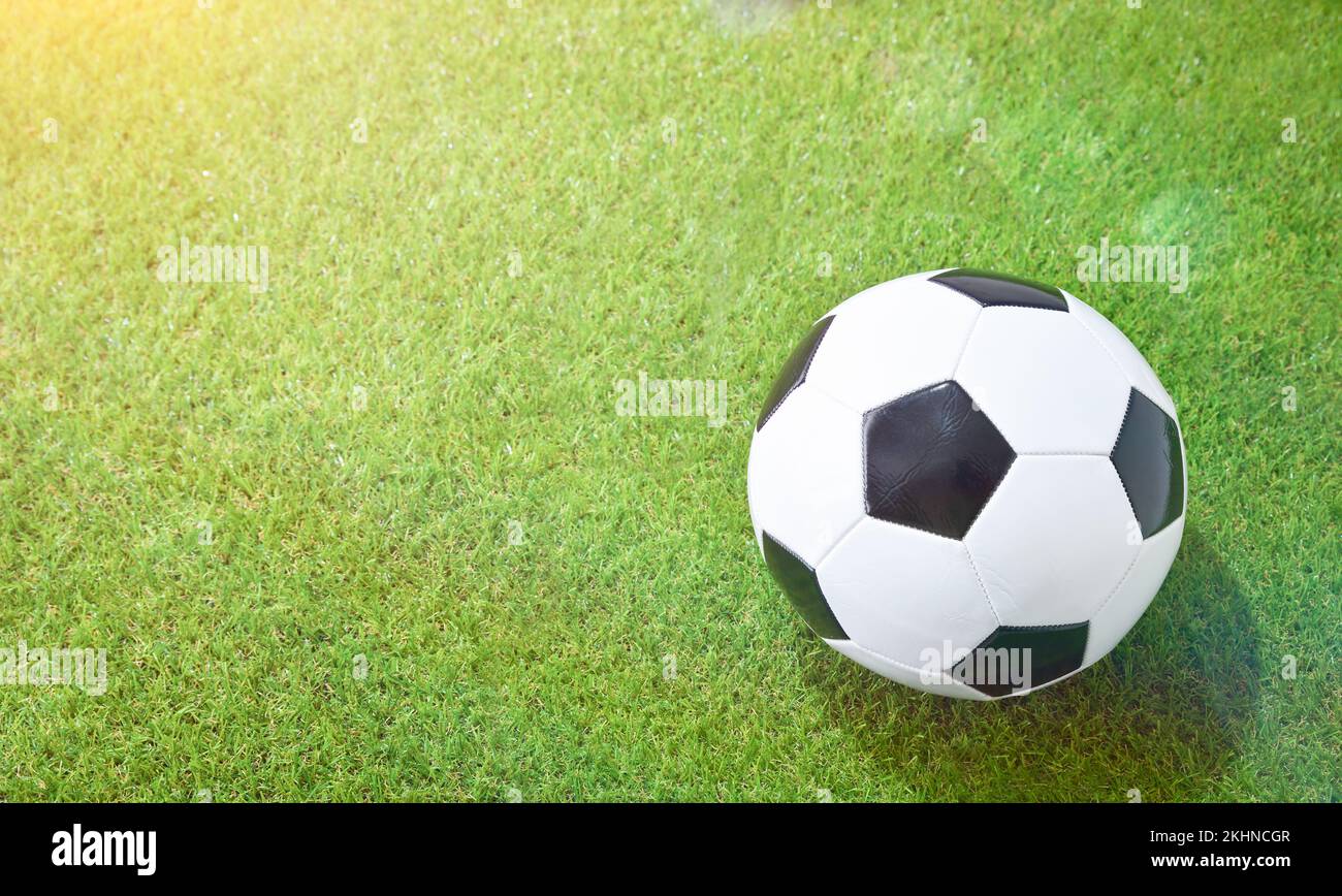 Qatar grass football stadium hi-res stock photography and images - Alamy