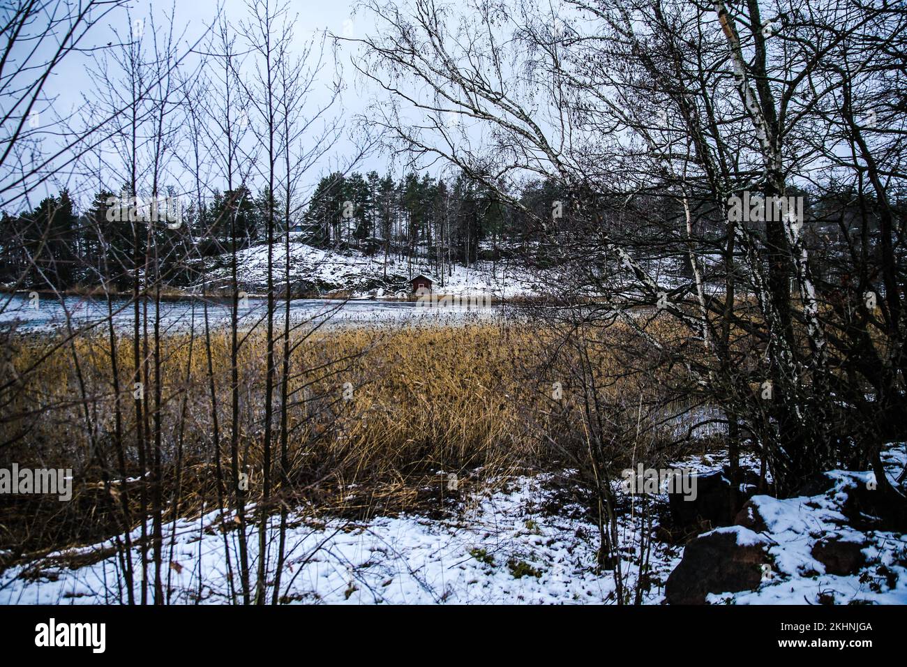 typical swedish snowy winter landscape with red house over frozen water ...