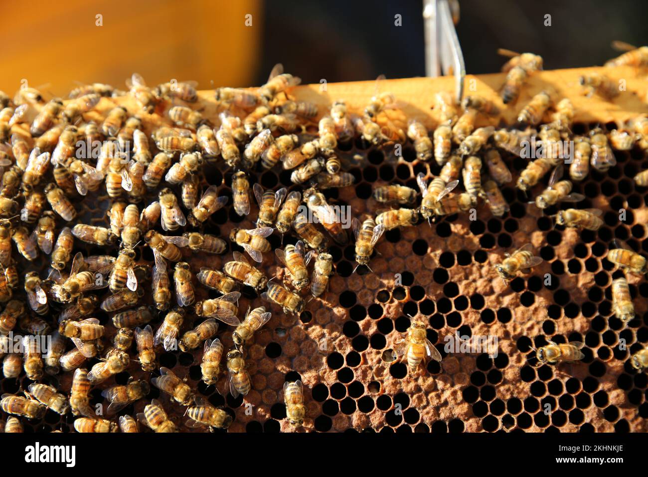 Sunny photoshoot hi-res stock photography and images - Alamy