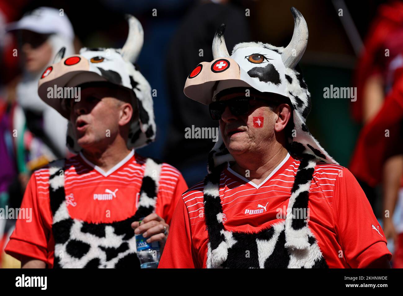 Al Wakrah, Qatar. 24th November 2022; Al Janoub Stadium, Al Wakrah ...