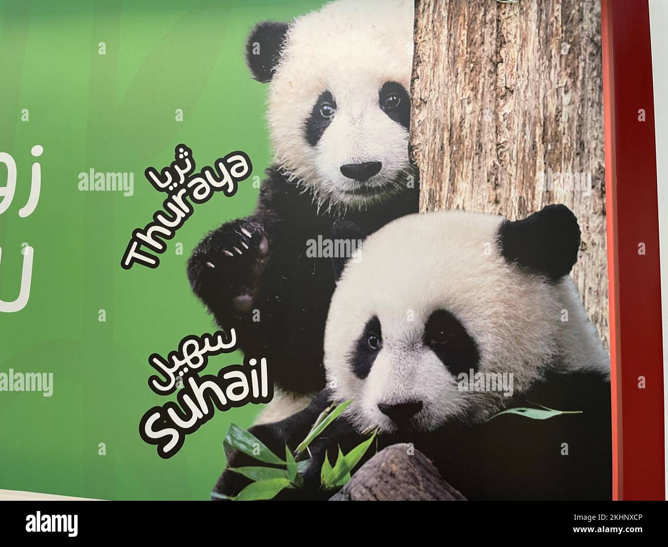 A poster in DOha Metro station advertising pandas Thuraya and Suhail ...