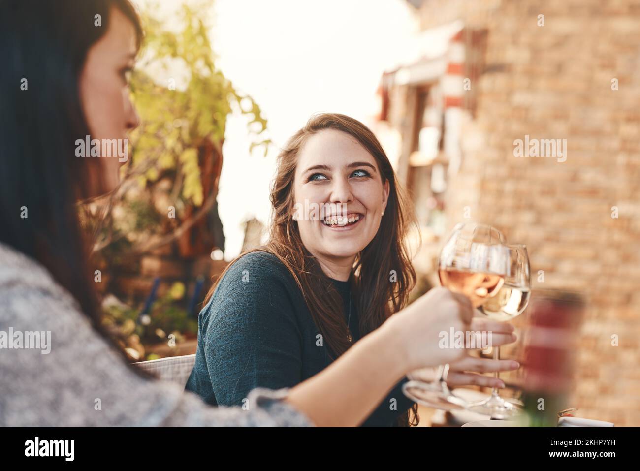 Wine, women or friends toast in celebration of friendship loyalty ...