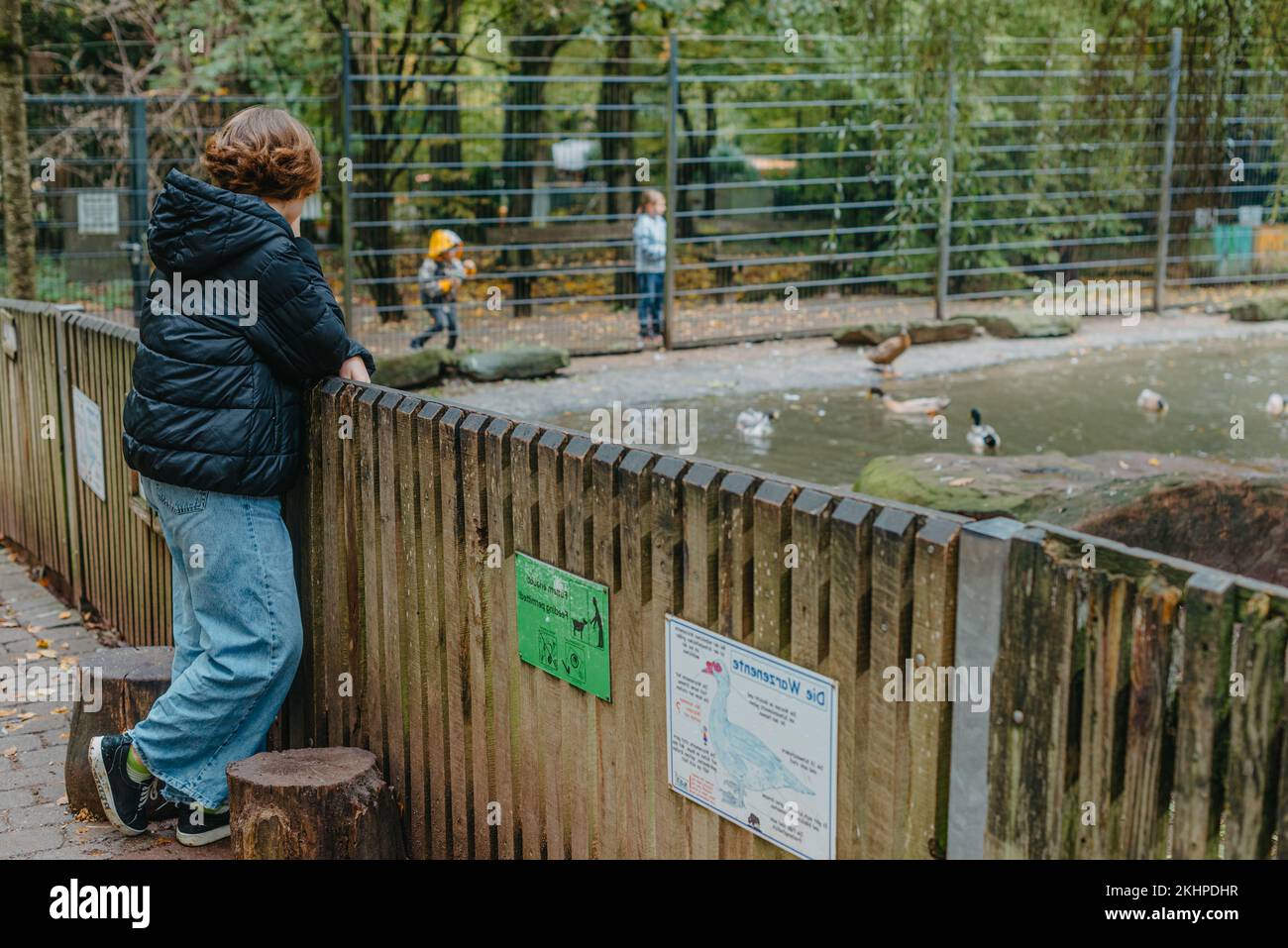 Teenader girl in the zoo. Girl watches in a zoo or nature park reserve ...