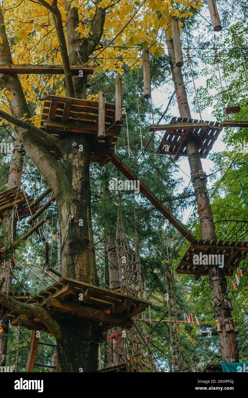 High ropes experience adventure tree park. Rope road course in trees ...