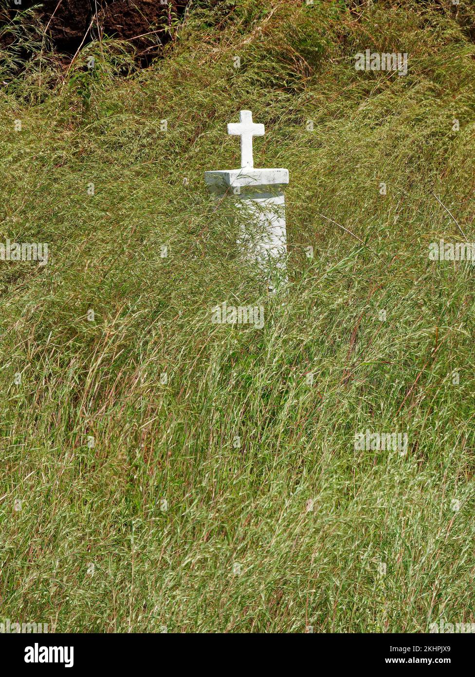 Religious Cross stand in wild green grass at Cabo de Rama Fort in Goa ...