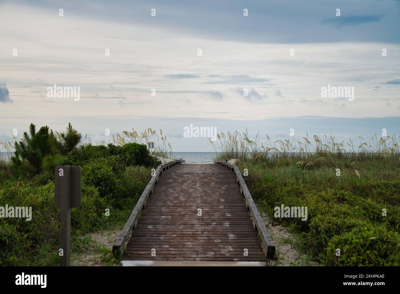 The empty footpath with traces surrounded by green vegetation. Hilton ...