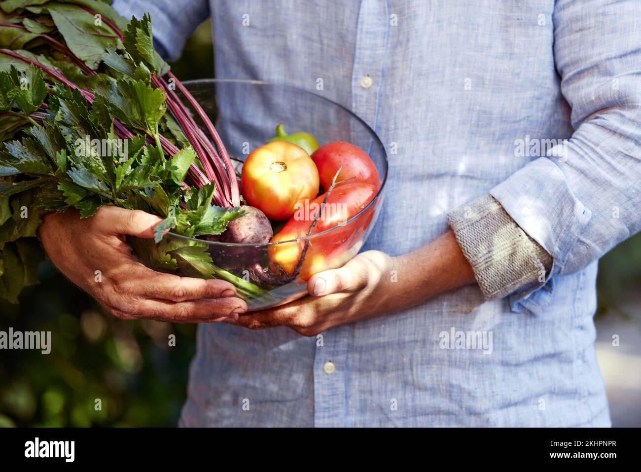 Happy farmer with a basket full of seasonal vegetables Stock Photo - Alamy