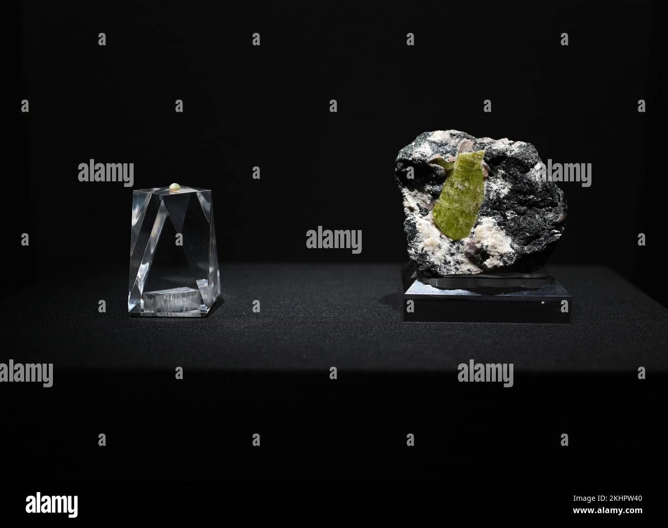 The Chengdu Natural History Museum opens to the public for trial ...